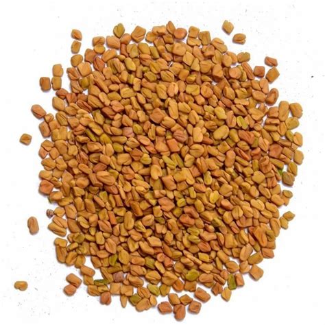 Brown Natural Methi Dana At Rs 47kg In Shamgarh Id 23091386273