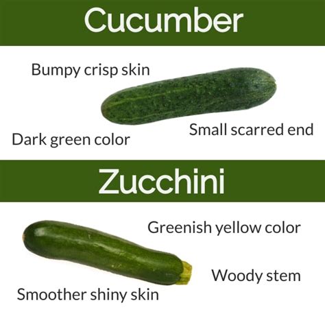 Zucchini Vs Cucumber What S The Difference