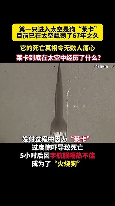 第一只进入太空的狗“莱卡”，目前已在太空飘荡了67年之久！ Youtube