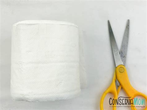 Mummy Toilet Paper Roll Craft Conservamom