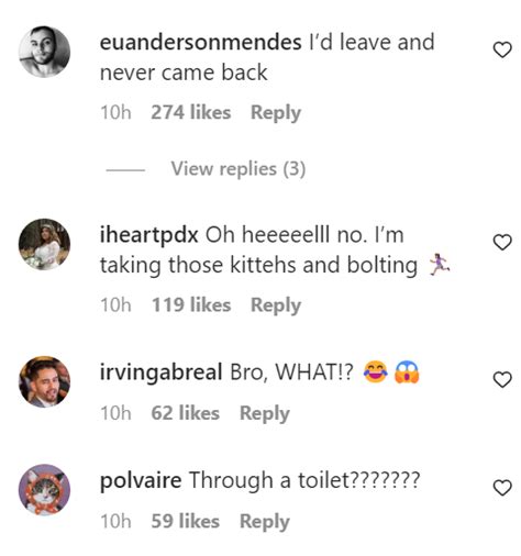 Viral Video 12 Foot Long Python Slithers Over Bathtub And Eyes 2 Kittens Watch What Happened Viral Video 12 Foot Long Python Slithers Over Bathtub And Eyes 2 Kittens Watch What Happened