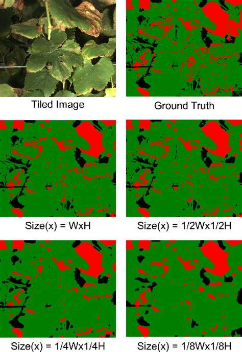 Figure 2 From Near Real Time Vineyard Downy Mildew Detection And Severity Estimation Semantic