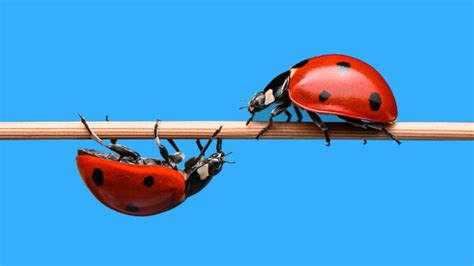 André Eiermann On Linkedin Why Conflicting Ideas Can Make Your