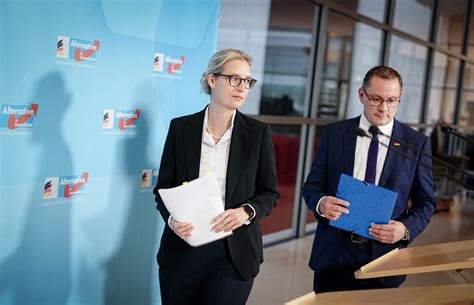 Umfrage Schock Für Die Ampel Afd Legt Weiter Zu Mopo