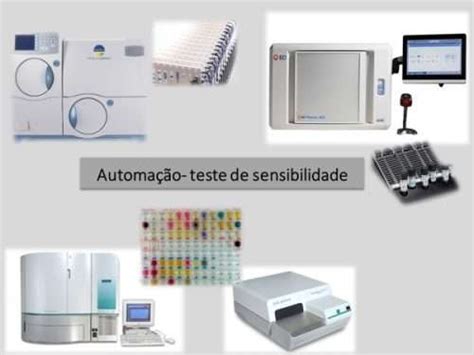 Ead Cultura De Vigilância Epidemiológica Poliniza By Formato Clínico