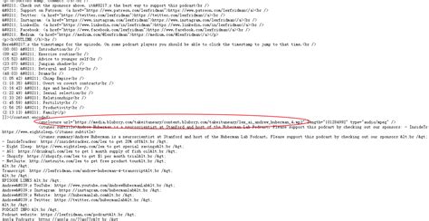 零代码编程：用chatgpt下载lexfridman的所有播客音频和文本lex Fridman博客文字版 Csdn博客