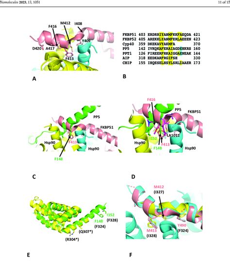 Tpr Domain Binding To The Extreme C Terminal Hydrophobic Pocket Of