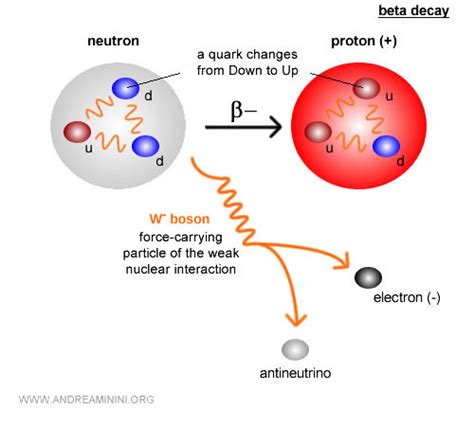 Particle Decay A Simple Explanation Andrea Minini