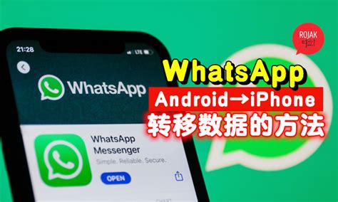 Android→iphone⚡转移whatsapp聊天记录个人头像媒体设置！（内有教学~）
