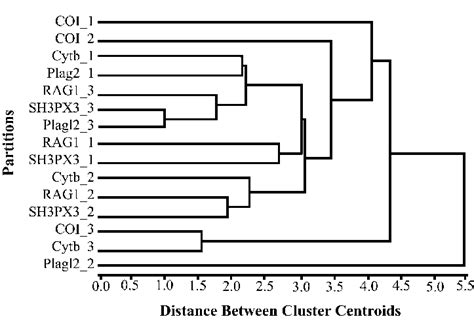 Clustering Diagram Showing Overall Similarity Among 15 Data Blocks Of Download Scientific
