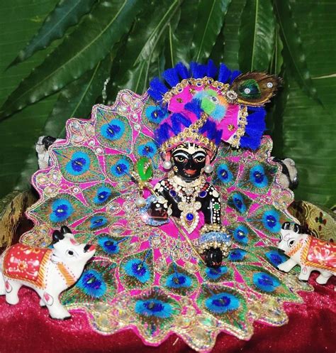 Pin By Vivek Joshi On Laddu Gopal Ji Captain Hat Festival Captain