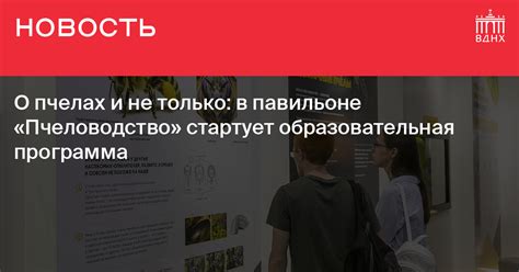О пчелах и не только в павильоне «Пчеловодство стартует