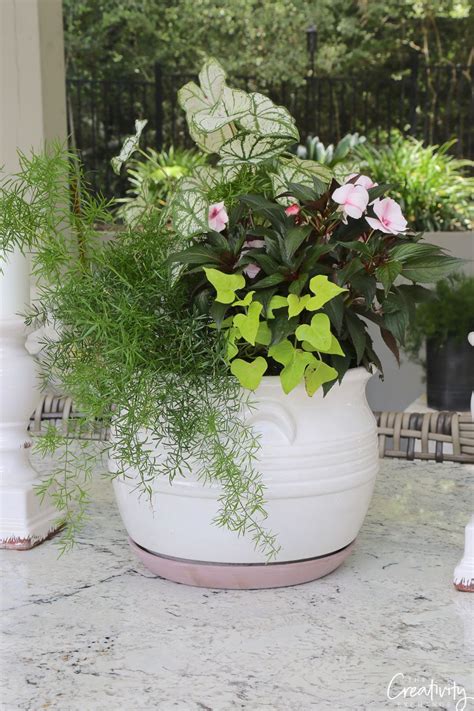 Creative Spring Garden Pots And Planters Garden Containers Container