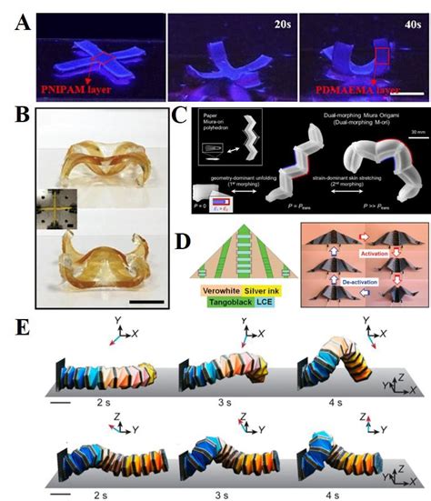 Soft Material Based Origami Soft Robots A Hydrogel Dual Responsive