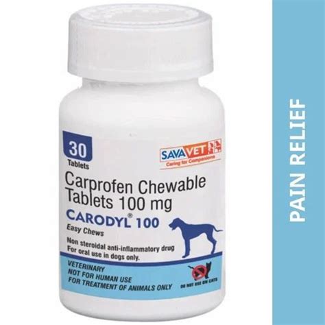 100mg Carprofen Chewable Tablets At ₹ 1200 Carprofen In Nagpur Id 2855554179573