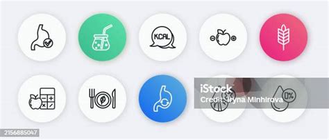 세트 라인 인간의 위장 건강 밀 칼로리 계산기 팜유 프리 Kcal 수분 균형 및 비건 음식 다이어트 아이콘 벡터 개념에 대한
