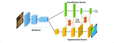 Multi Task Classification And Segmentation Network Mtcsn