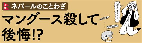 たぶん一生使わない 異国のことわざ111 イースト新書q 時田 昌瑞 伊藤 ハムスター 本 通販 Amazon