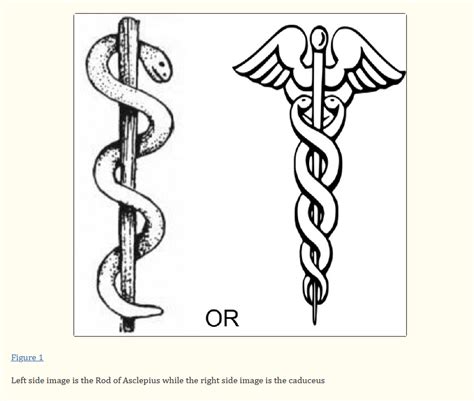 Staff Of Asclepius Vs Caduceus