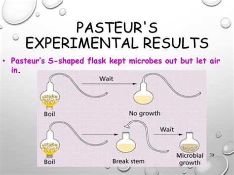 History Of Life Ppt Download