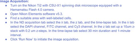 Cell Press Star Protocols