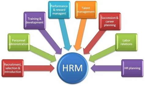 Hrm Software Development At ₹ 3000pack In Coimbatore Id 10821854373