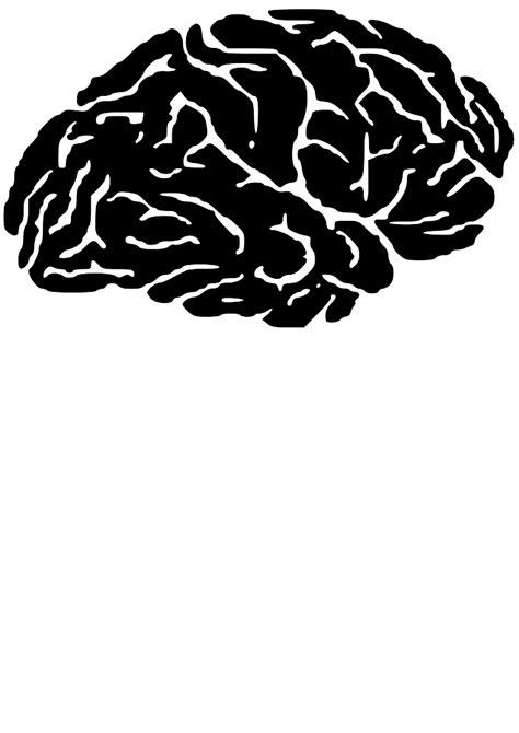Animated Brain Pictures Clipart Best
