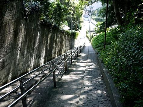 都会の階段③文京区の胸突坂 ラントリップ