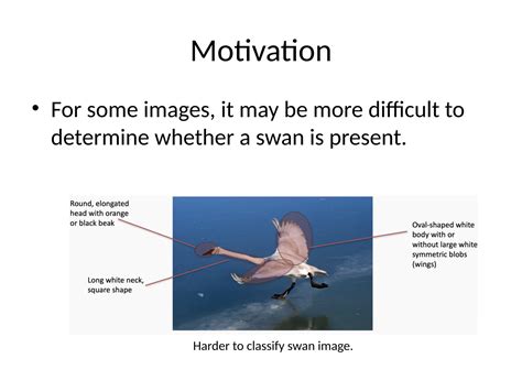 Basic Introduction To Convolutional Neural Networkpptx