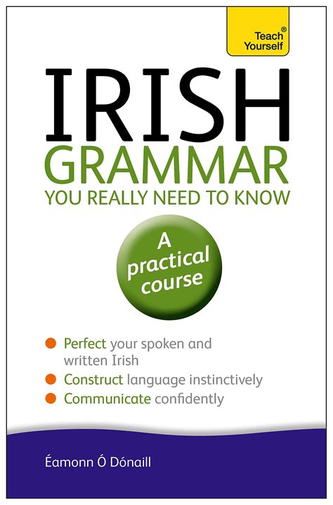 Teach Yourself Irish Grammar You Really Need To Know A Practical