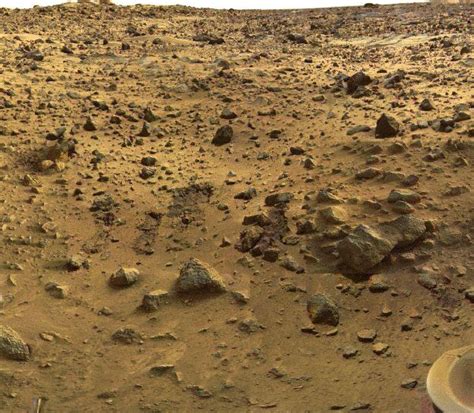 Nasa Que Usar Micróbios Para Criar Uma Base Em Marte Hypescience