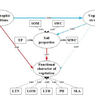 The Final SEM Describing The Relationship Between Variables The Red Download Scientific