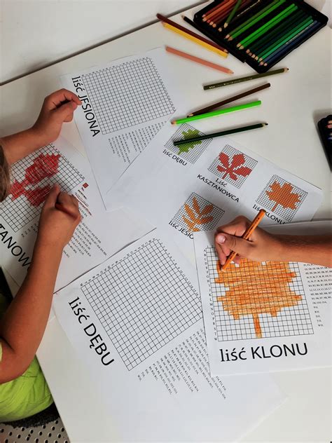 Jesień na drzewach w lesie Karty Edukacyjne
