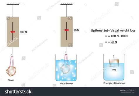 Spring Balance Experiment At Alecia Smith Blog
