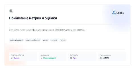 Понимание метрик и оценки Labex