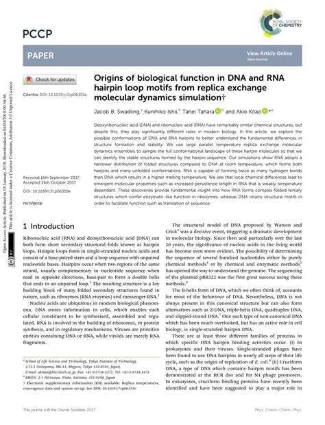 Pdf Origins Of Biological Function In Dna And Rna Hairpin Loop Motifs