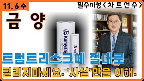 🟠 금양 2차전지 앞으로 방향 이렇습니다 트럼프 당선에 절대 흔들리지마세요 제발 Youtube