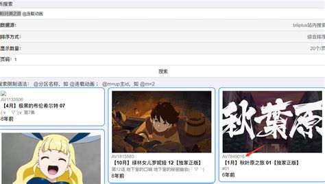 B站下架视频搜索和弹幕获取 Paimon