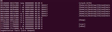 C Sigsegv After Mmapping Area Stack Overflow