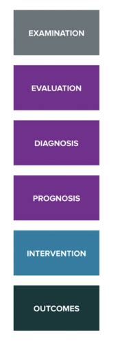 Patient Interview Flashcards Quizlet