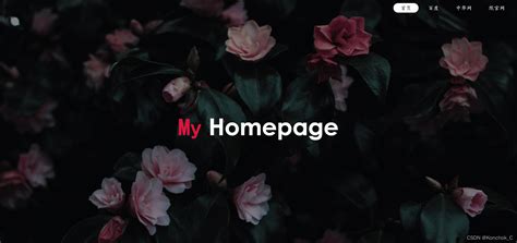 html css制作一个精美web首页（100行代码以内） 漂亮的网站首页代码 csdn博客
