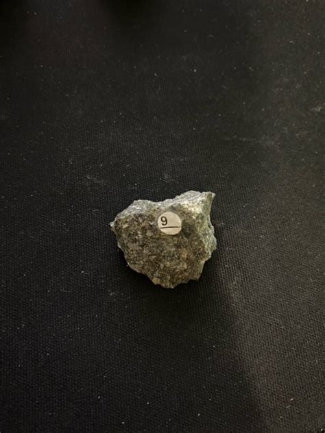Solved Lab Exercise Identification Of Igneous Rocks Every Chegg
