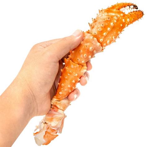 ゴールデンキングクラブ 6kg タラバガニにも負けない旨味 タラバガニ科 イバラガニ 5lサイズ 冷凍総重量 1kg前後 ×6肩 正規品