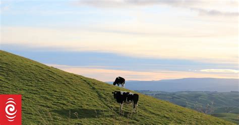 Government Invests Millions In Agriculture Emissions Research Rnz News