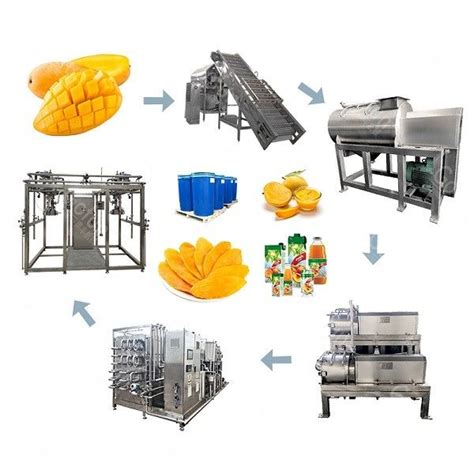 500td Industrial Mango Processing Line Industrial Mango Processing