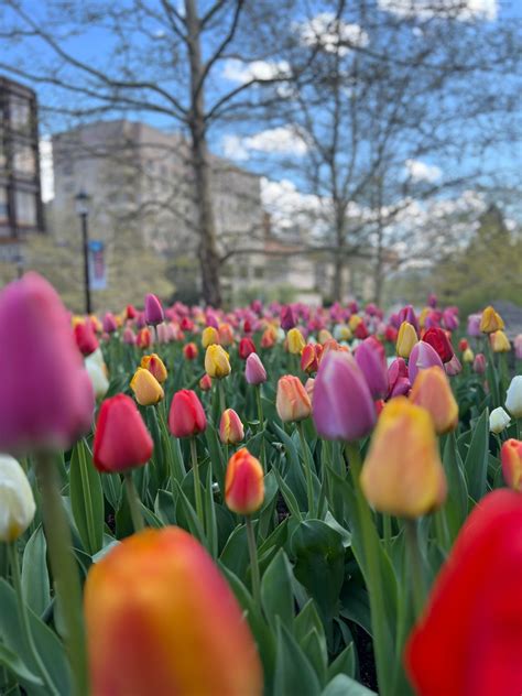 Anthony Burrow On Linkedin Just A Quick Note To Say I Saw These Today And Felt A Joy Worthy Of…