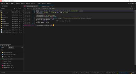 The Windows Filescan Command Did Not Output Correctly Issue 696