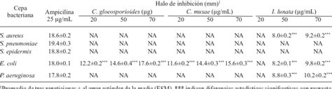 Bacterial Inhibition Zone Diameters Taken From Fungal Extracts