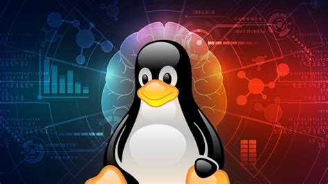 today i learned the basics of linux ubuntu