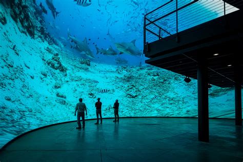 Evans And Sutherland Spitz And Livelike Vr Join Immersive Forces As